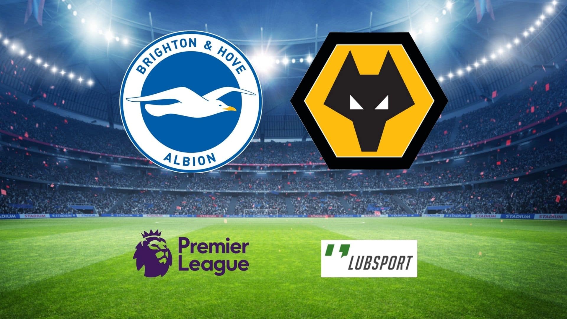 Brighton - Wolves typy, kursy, składy 15/12/2021